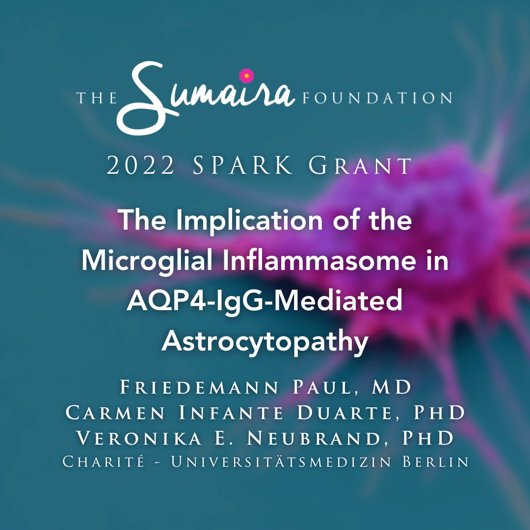 ANNOUNCEMENT | 2022 TSF GRANT RECIPIENTS | The Sumaira Foundation